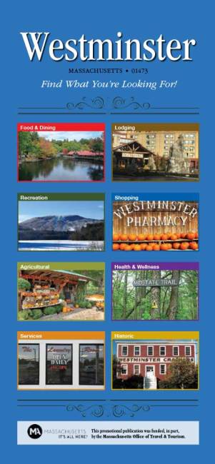 Brochures & Sell Sheets – Lynne Fountain Creative